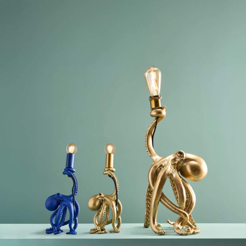 WERNS® | Official Online Store