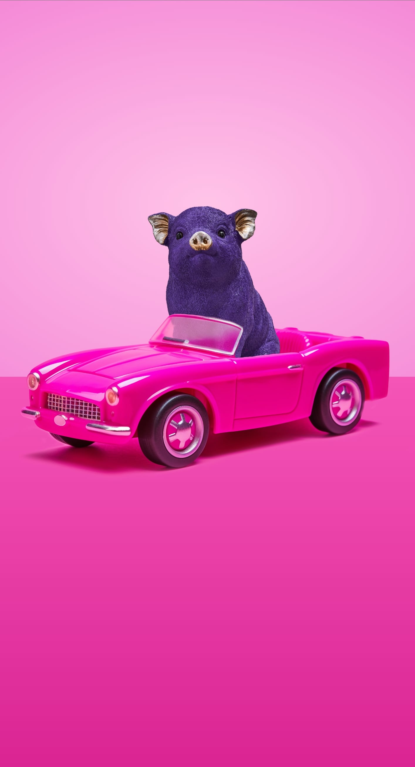 WERNS® | Offizieller Online Shop