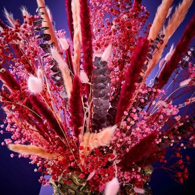 WERNS® | Offizieller Online Shop