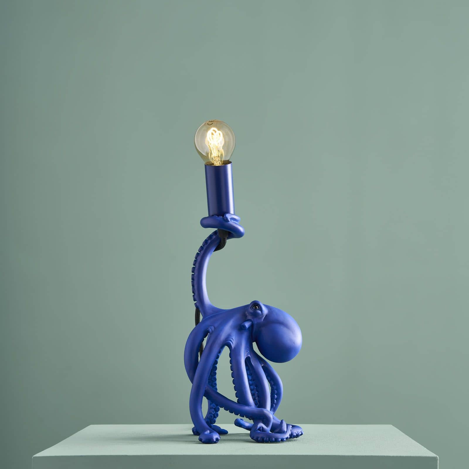 WERNS® | Exceptional & Unusual Animal Lamps Online