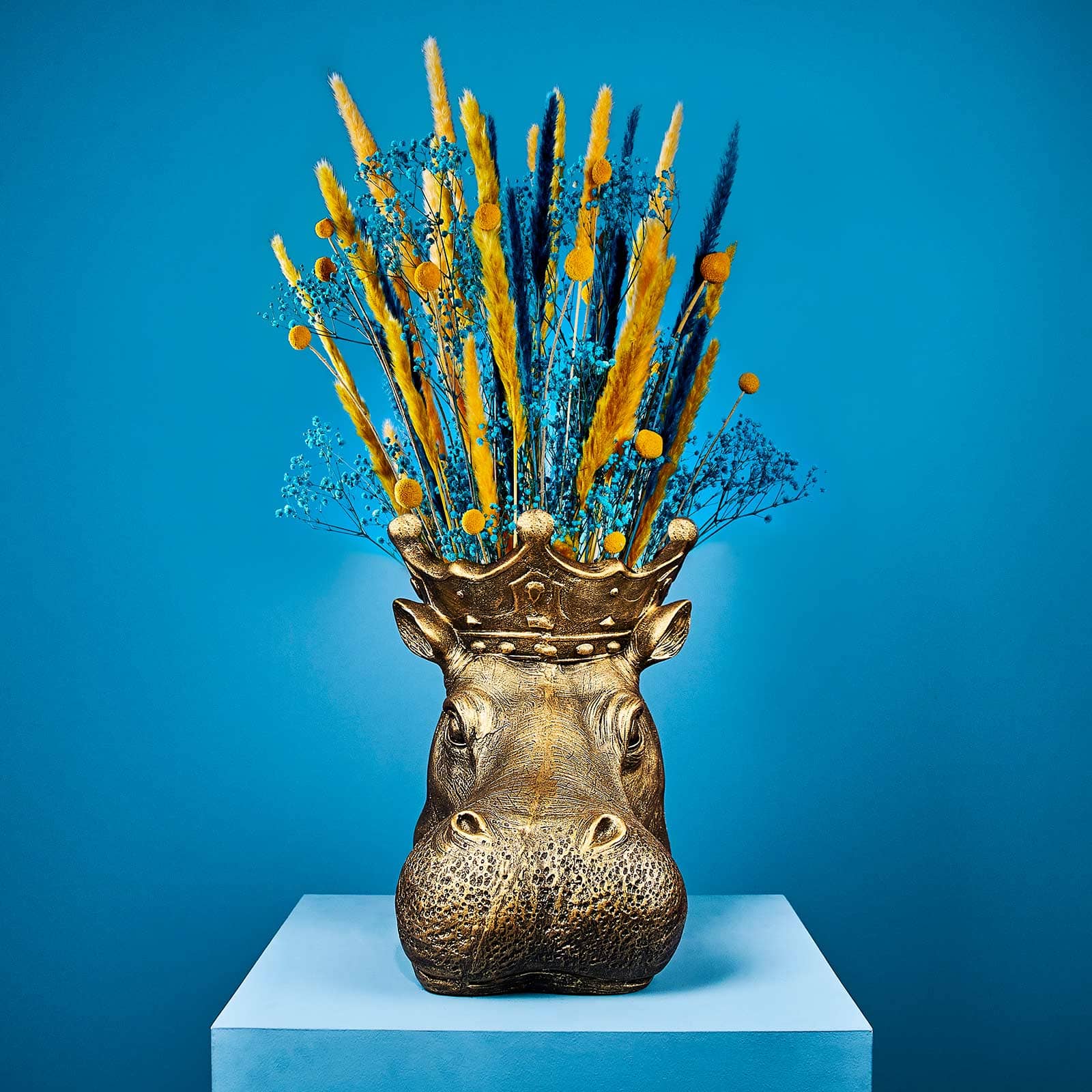 WERNS® - Official Online Store